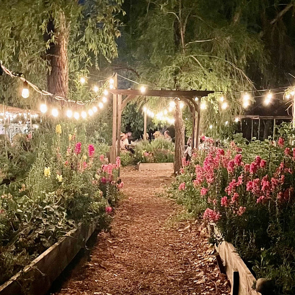 FUND RAISER - MOONLIGHT FARM DINNER - FALL 2024 - The Simple Farm